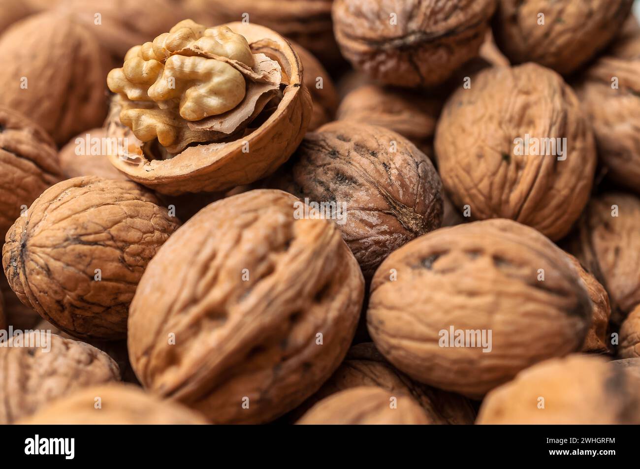 Ka rperfunktionen hi-res stock photography and images - Alamy