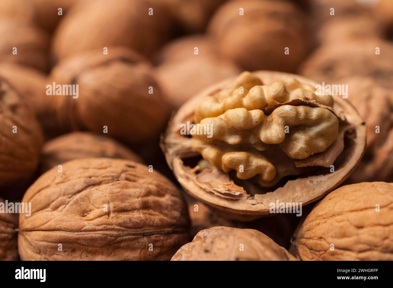 Fresh walnuts hi-res stock photography and images - Alamy