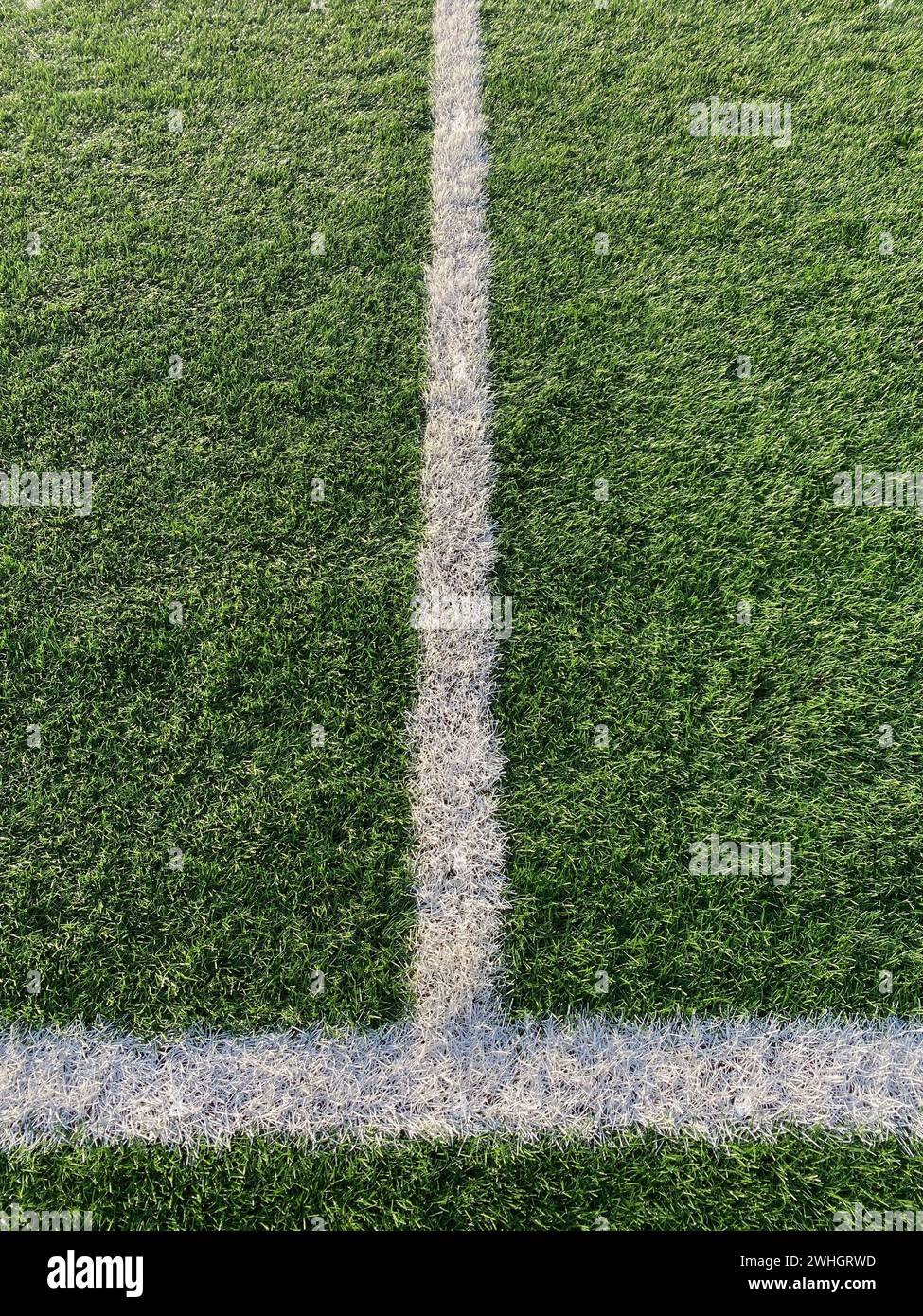 This stock photo showcases the central line of a soccer field merging ...