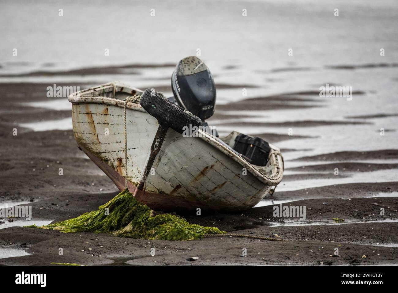 Little boat stranded ashore on a small sandbank on Chiloe during low ...
