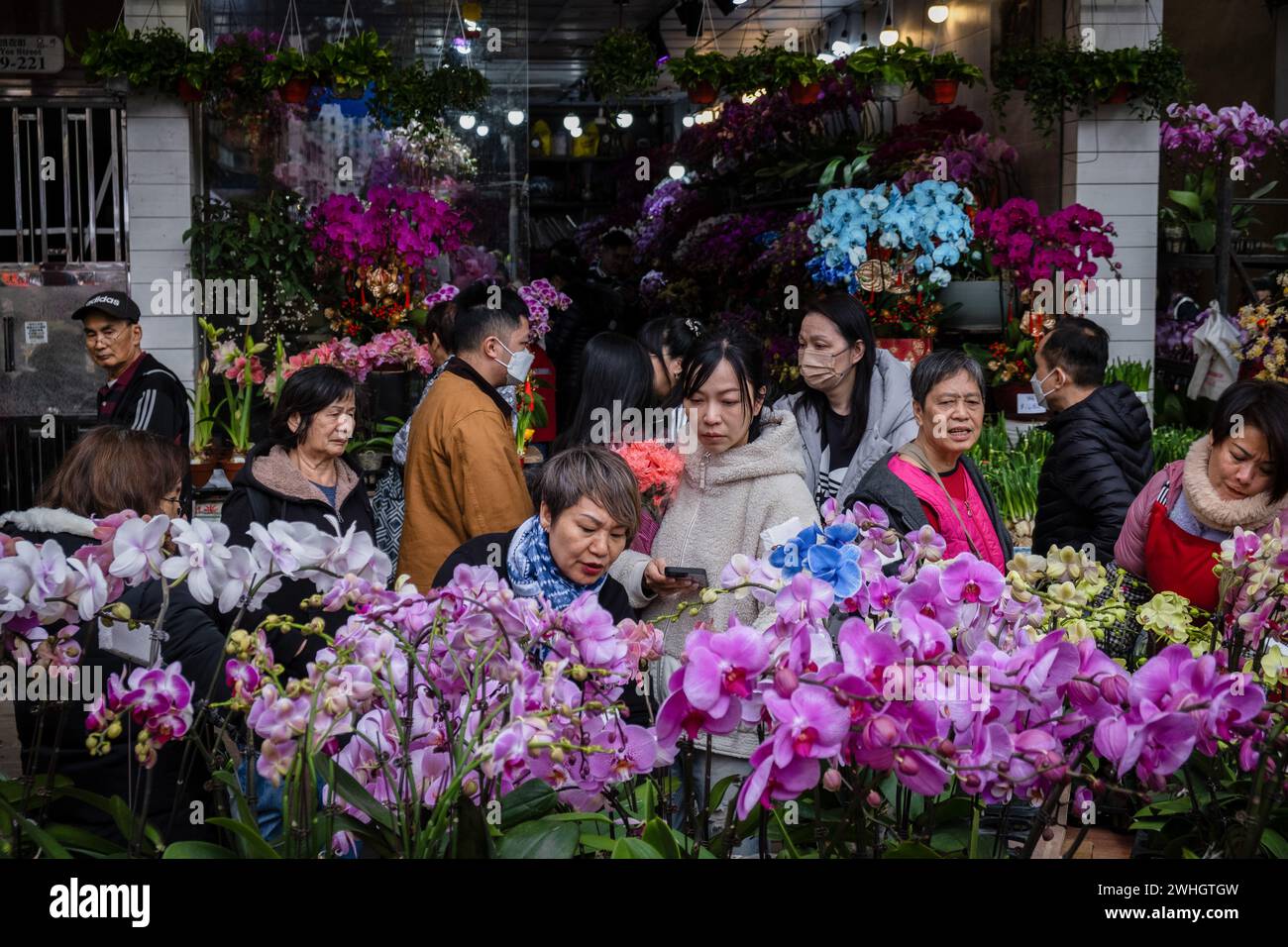 Hong Kong, China. 09th Feb, 2024. People purchase flowers at Mong Kok ...