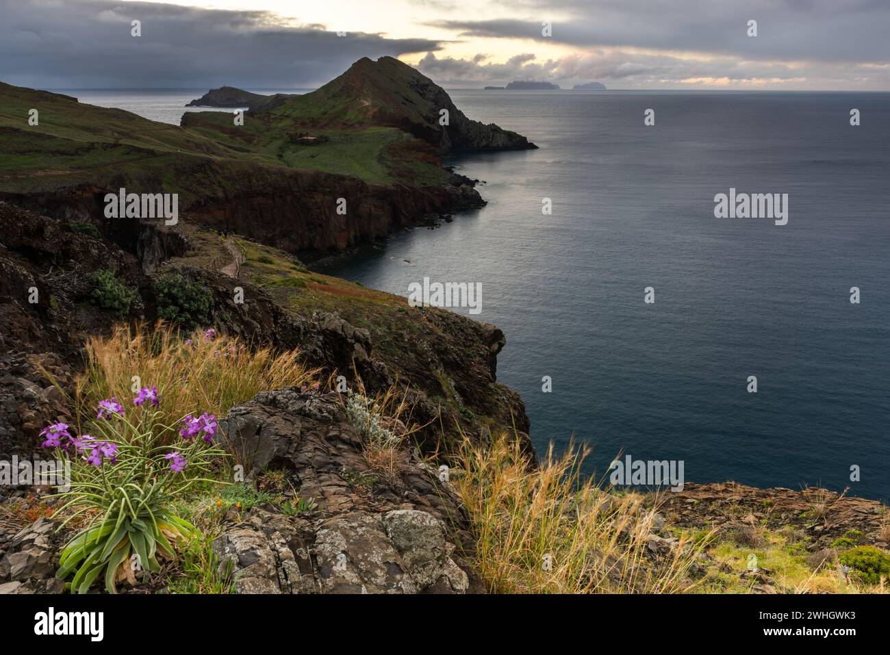 Ponta de Sao Lourenco, Madeira peninsula at sunrise. Green cliffs ...