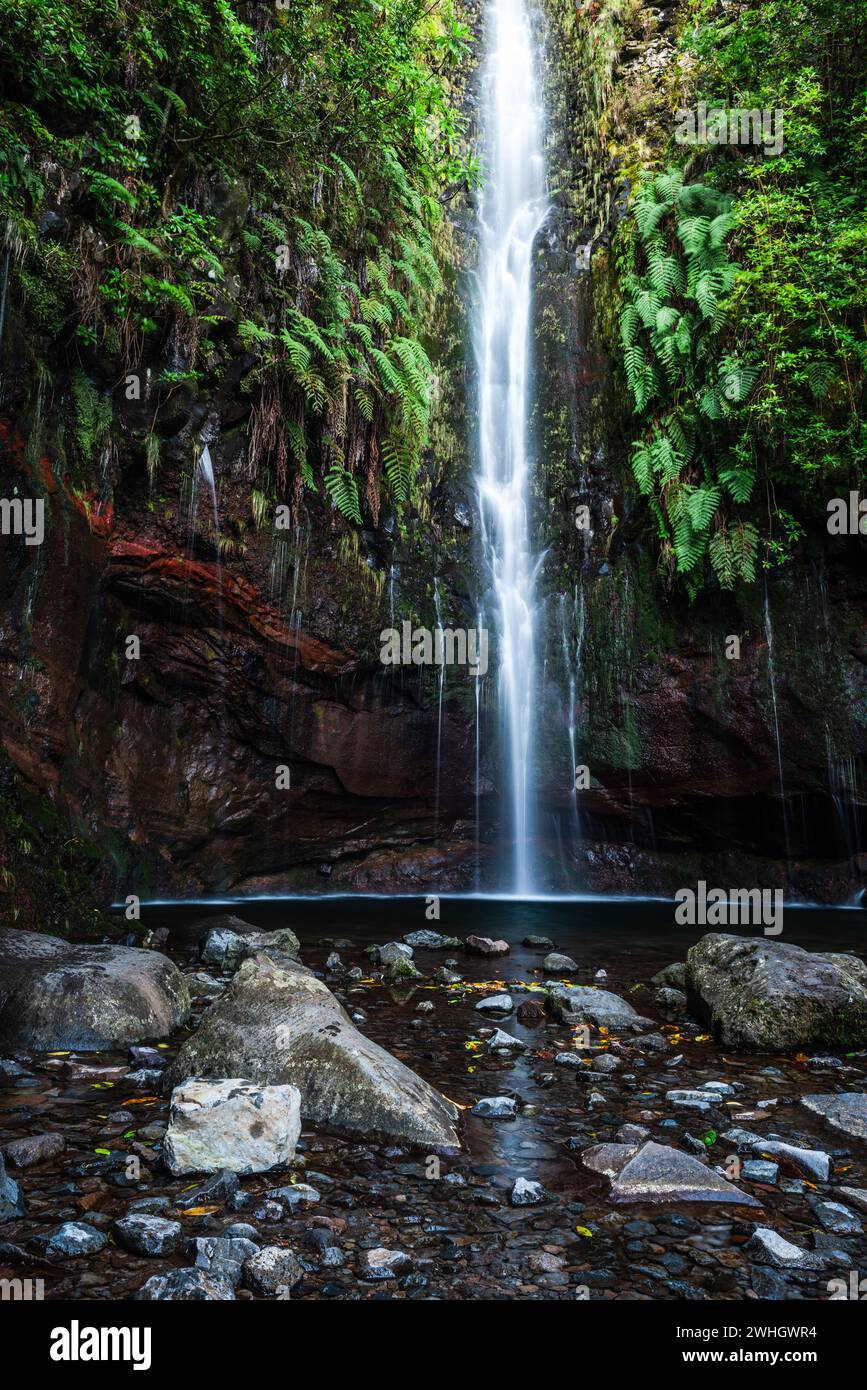 25 Fontes Waterfall and springs in Rabacal, Medeira island of Portugal ...