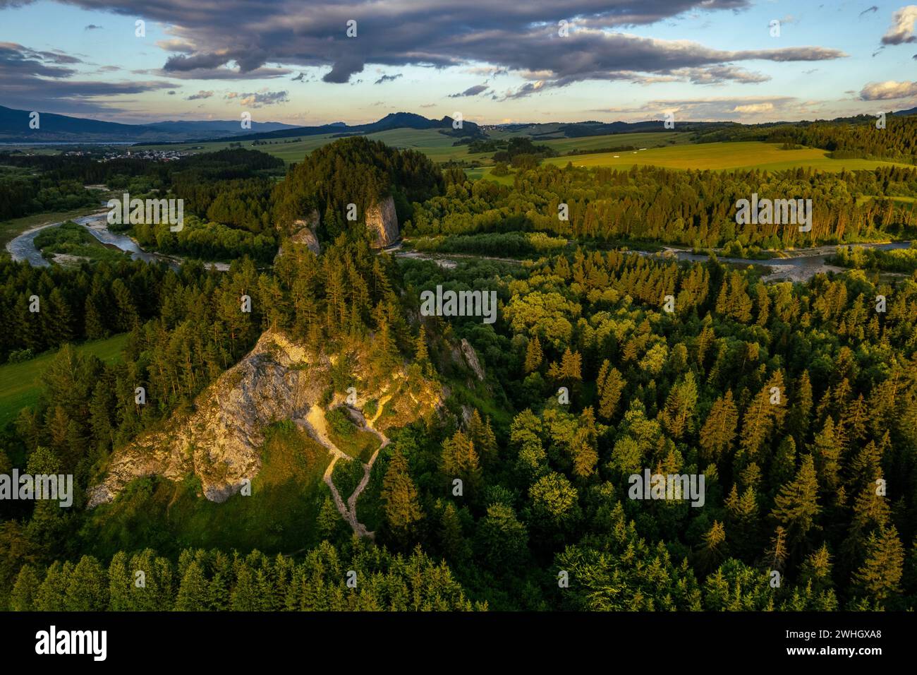 Przelom bialki hi-res stock photography and images - Alamy