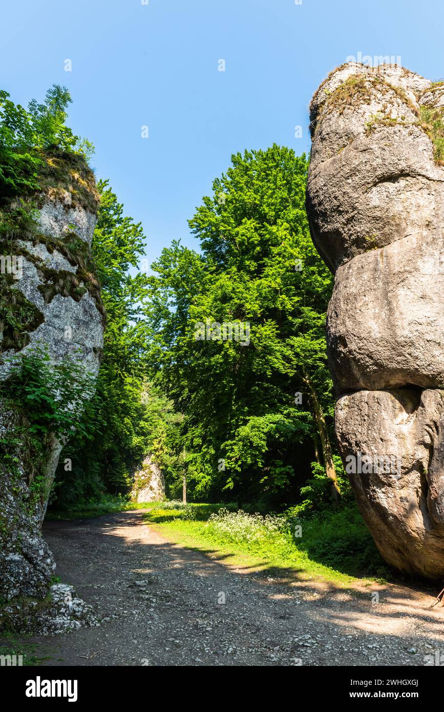 Cracow Gate Rock Formation in Ojcowski National Park in Poland Stock ...