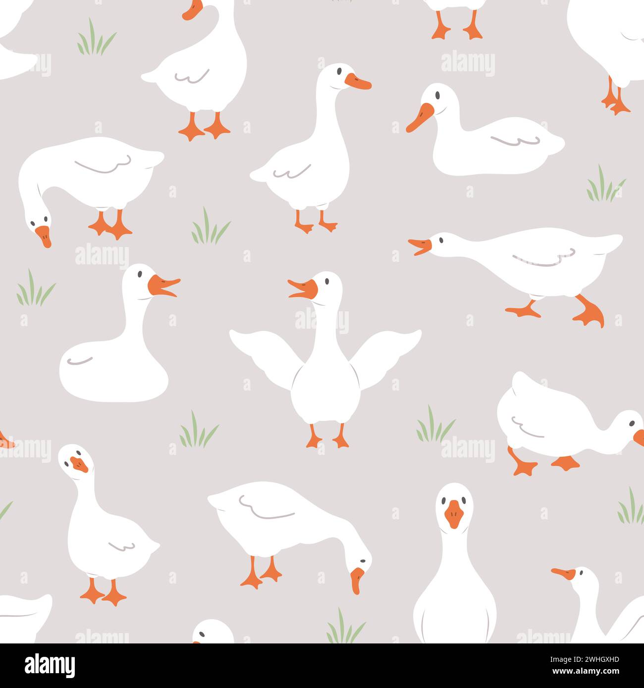 Seamless pattern with cute white gooses. Domestic and wild ducks on ...