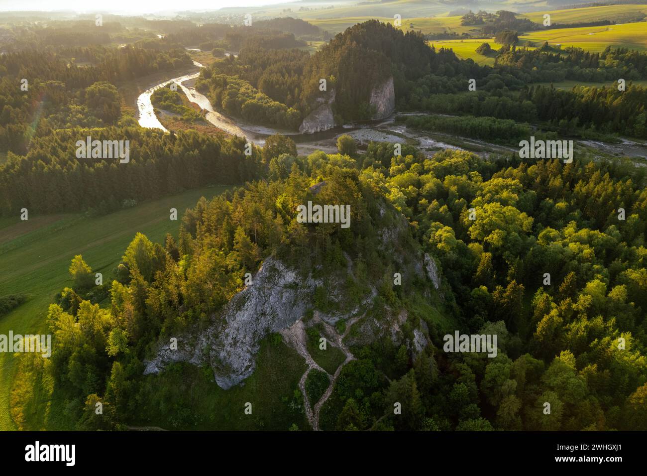 Przelom bialki hi-res stock photography and images - Alamy