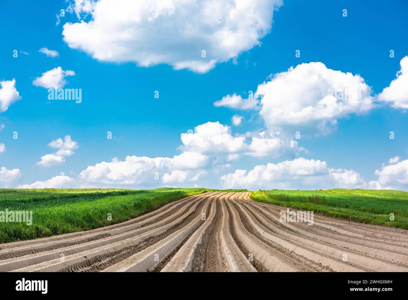 Agriculture crop fields hi-res stock photography and images - Alamy