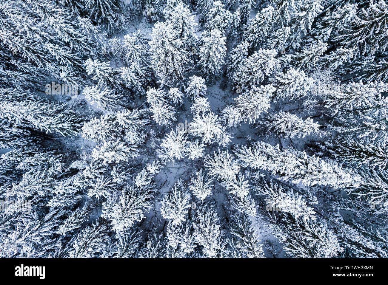 Top down view day in hi-res stock photography and images - Alamy