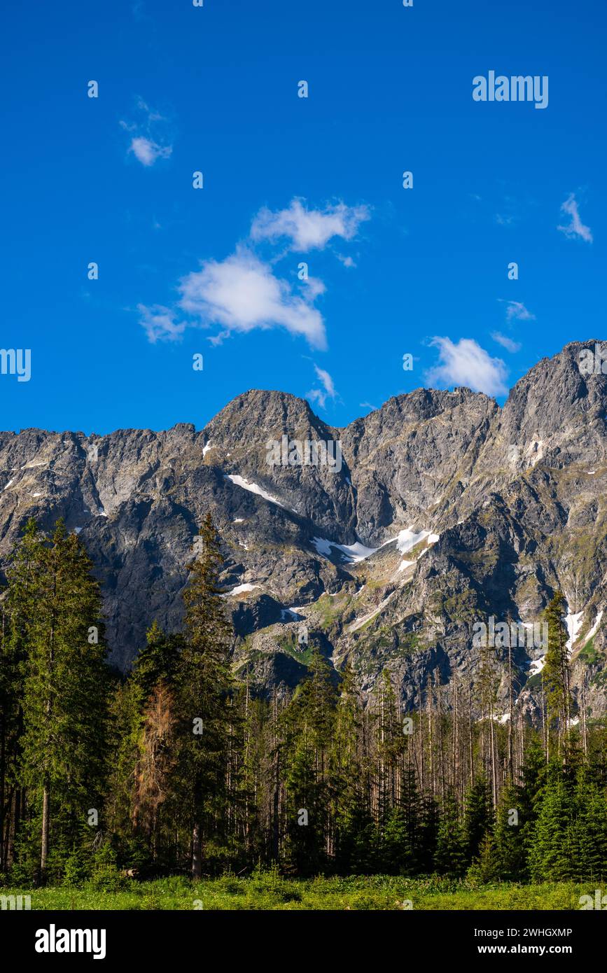 Tatra Mountains National Park in Summer. Poland, near Zakopane Stock ...