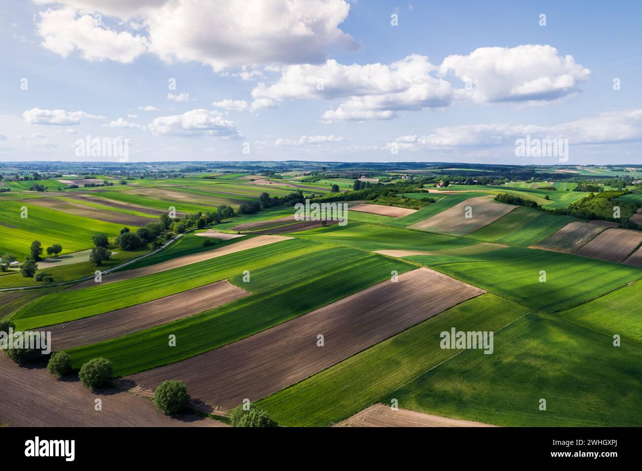 Aerial view of crop hi-res stock photography and images - Alamy
