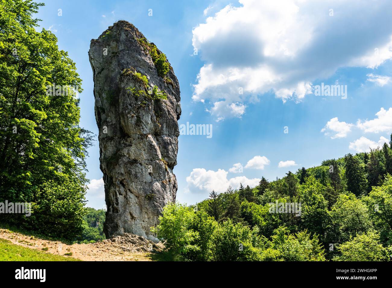 Hercules Mace, nature rock formation in Ojcowski National Park near ...