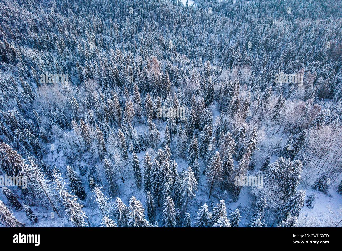 Aerial drone view snow covered hi-res stock photography and images - Alamy