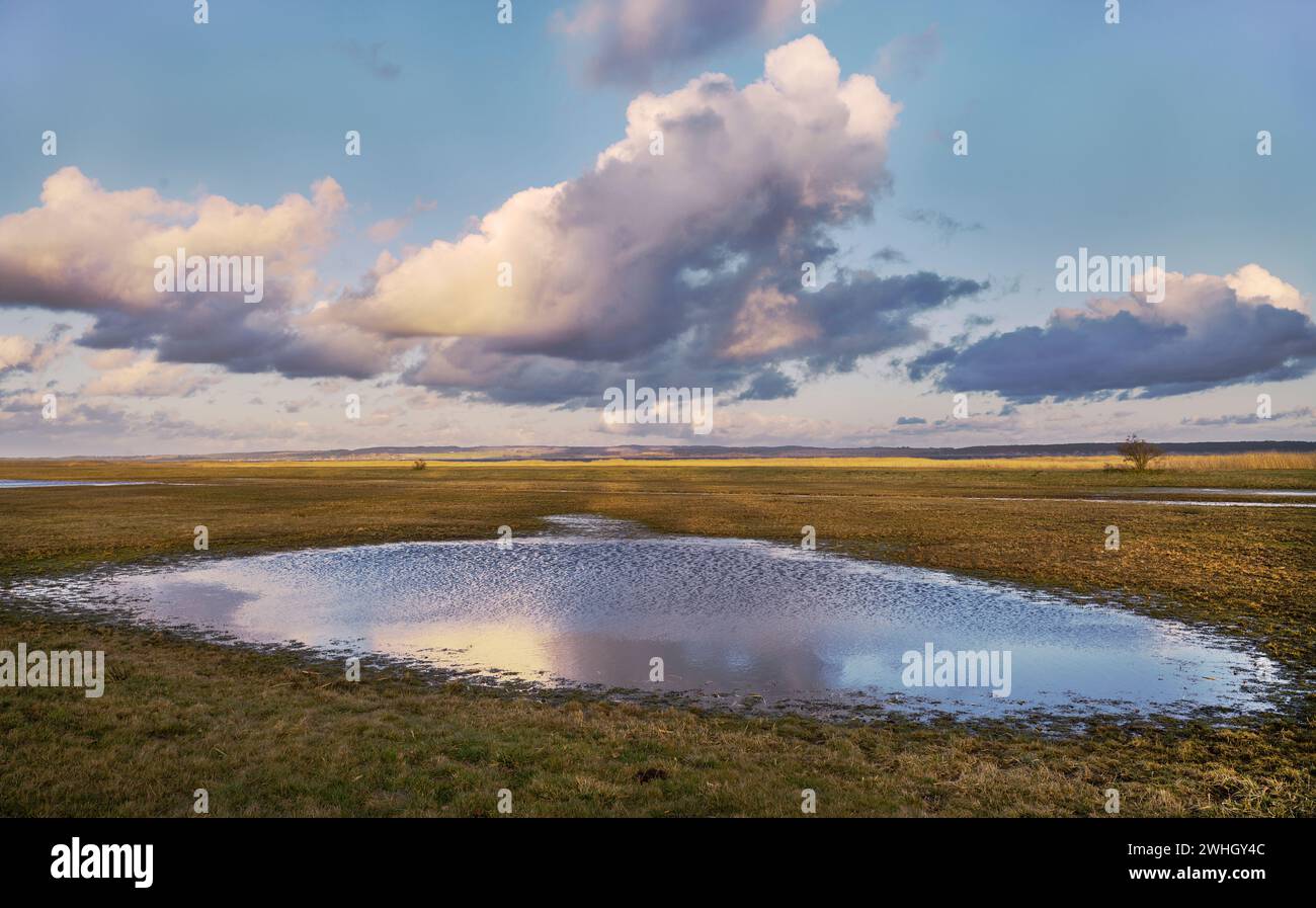 Overflood zone hi-res stock photography and images - Alamy