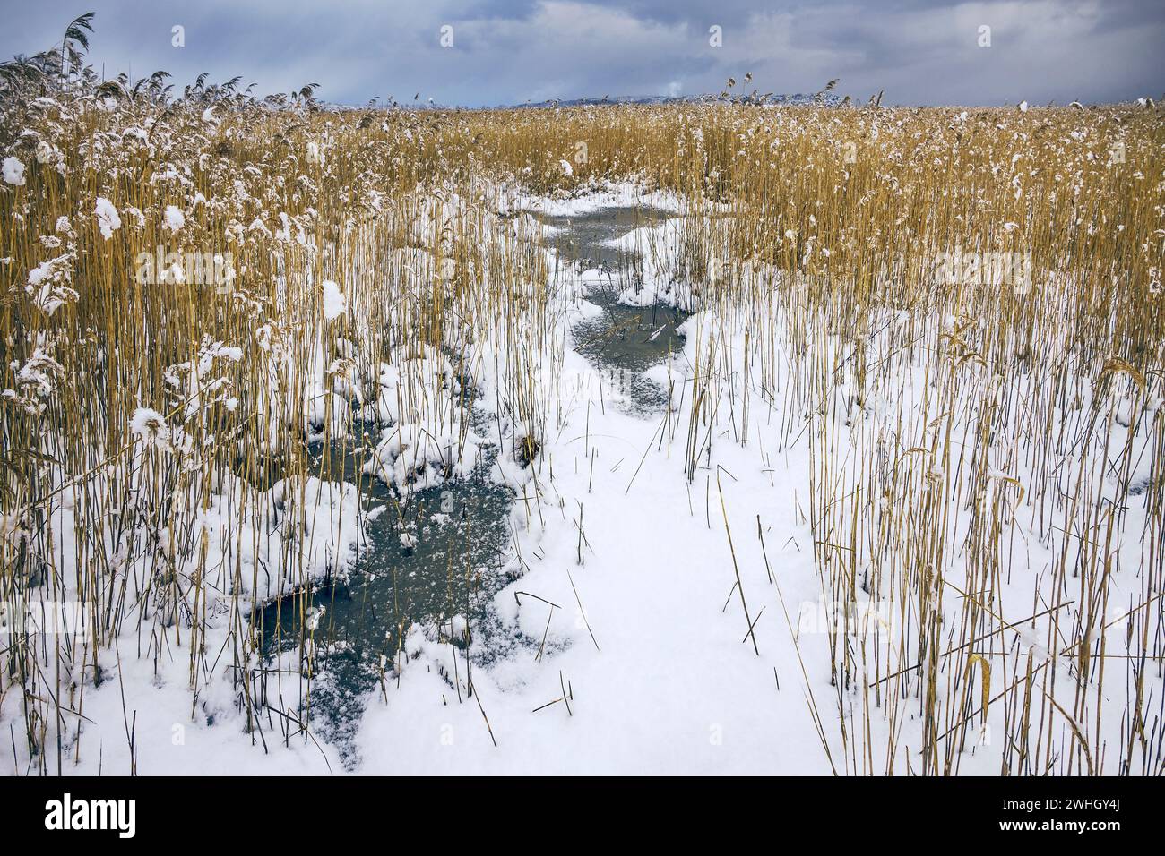 Snowy coastal landscapes hi-res stock photography and images - Alamy