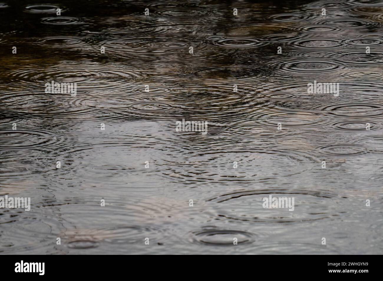Ripples on the surface of lake water, caused by heavy rain Stock Photo ...