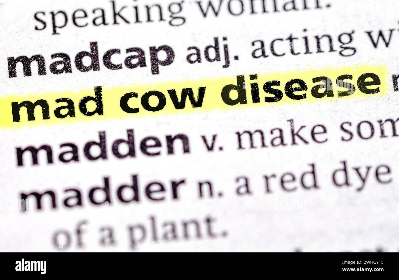 mad cow disease Stock Photo - Alamy mad cow disease Stock Photo - Alamy