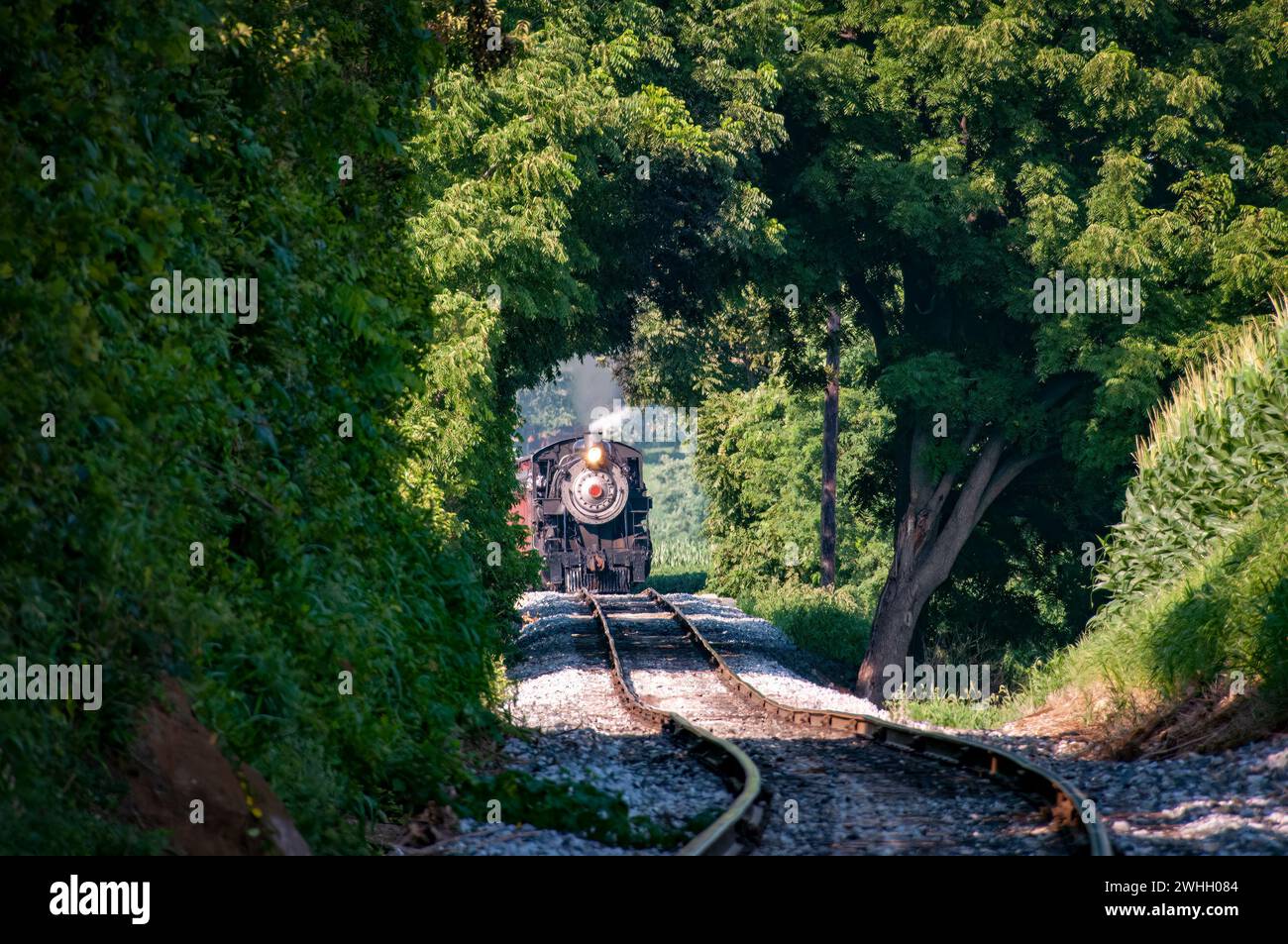 Head on View of a Antique Steam Locomotive Approaching Thru a Group of ...