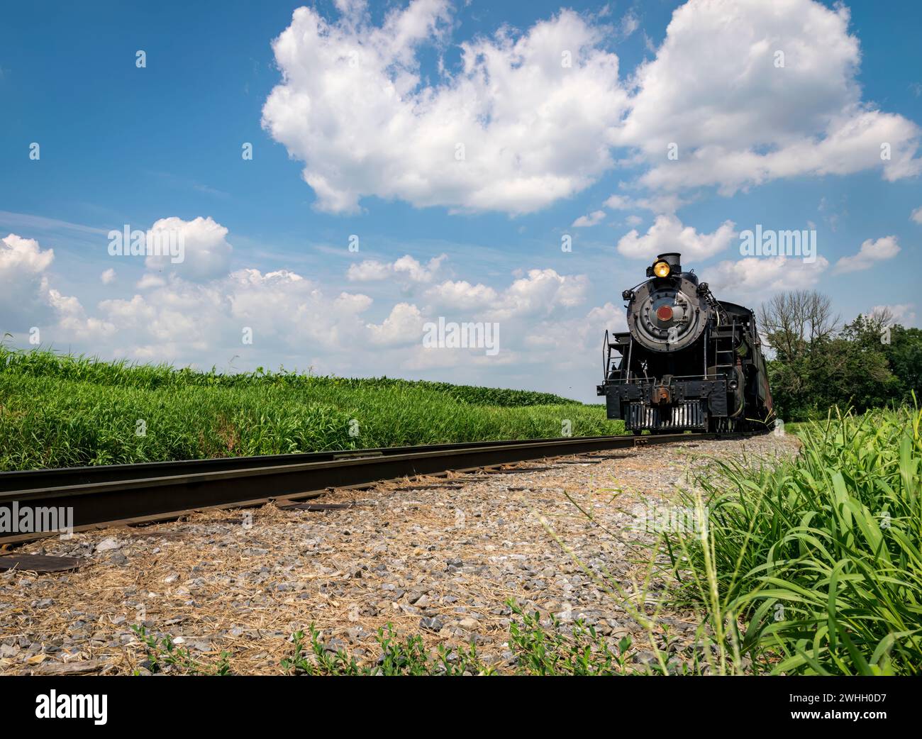 Low Angle View of a Steam Locomotive Approaching on a Single Track ...