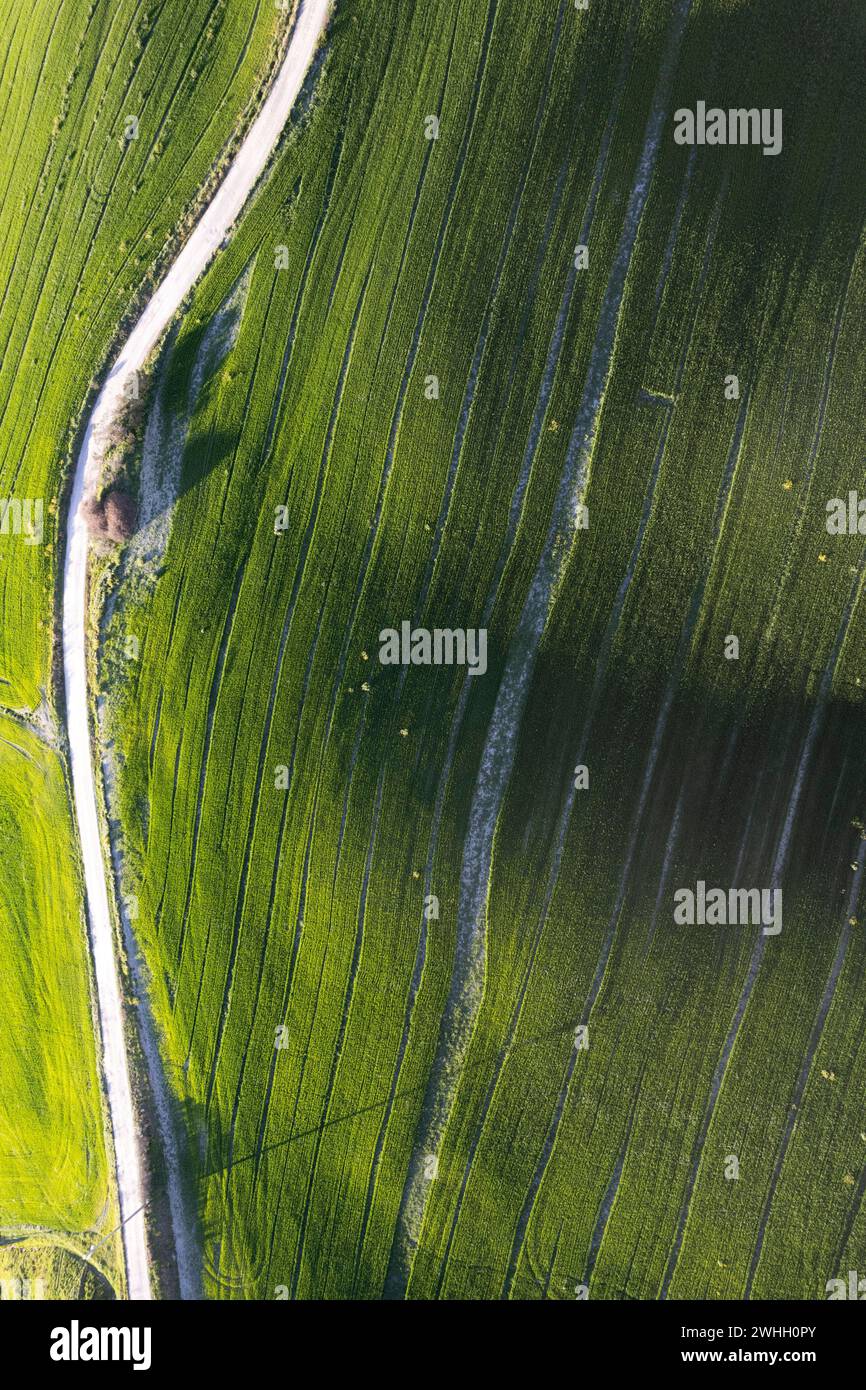 Tree plant field spring hi-res stock photography and images - Alamy