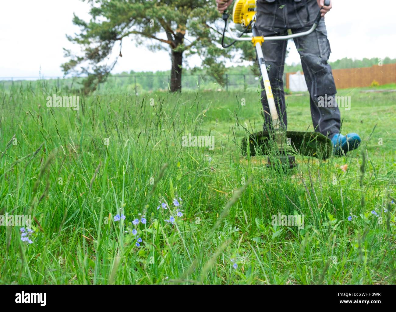 Petrol lawn trimmer hi-res stock photography and images - Alamy