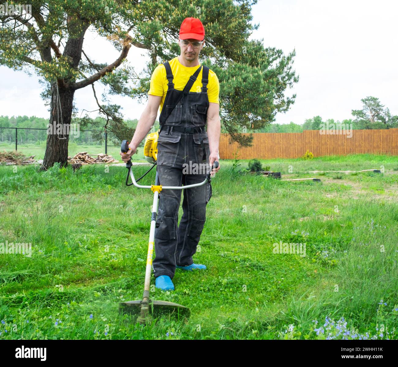 A male gardener mows the green grass of the lawn in the backyard with a ...