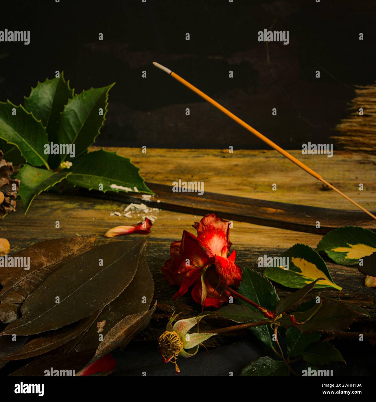 Vintage stil life photography (low key Stock Photo - Alamy