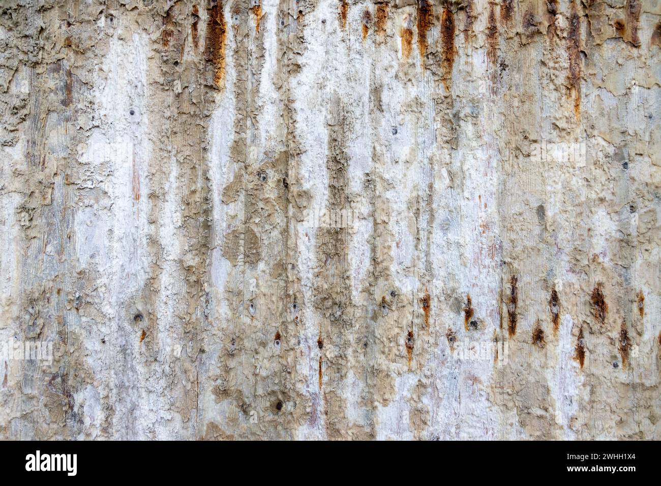 Texture wooden wall with rusty nails Stock Photo - Alamy