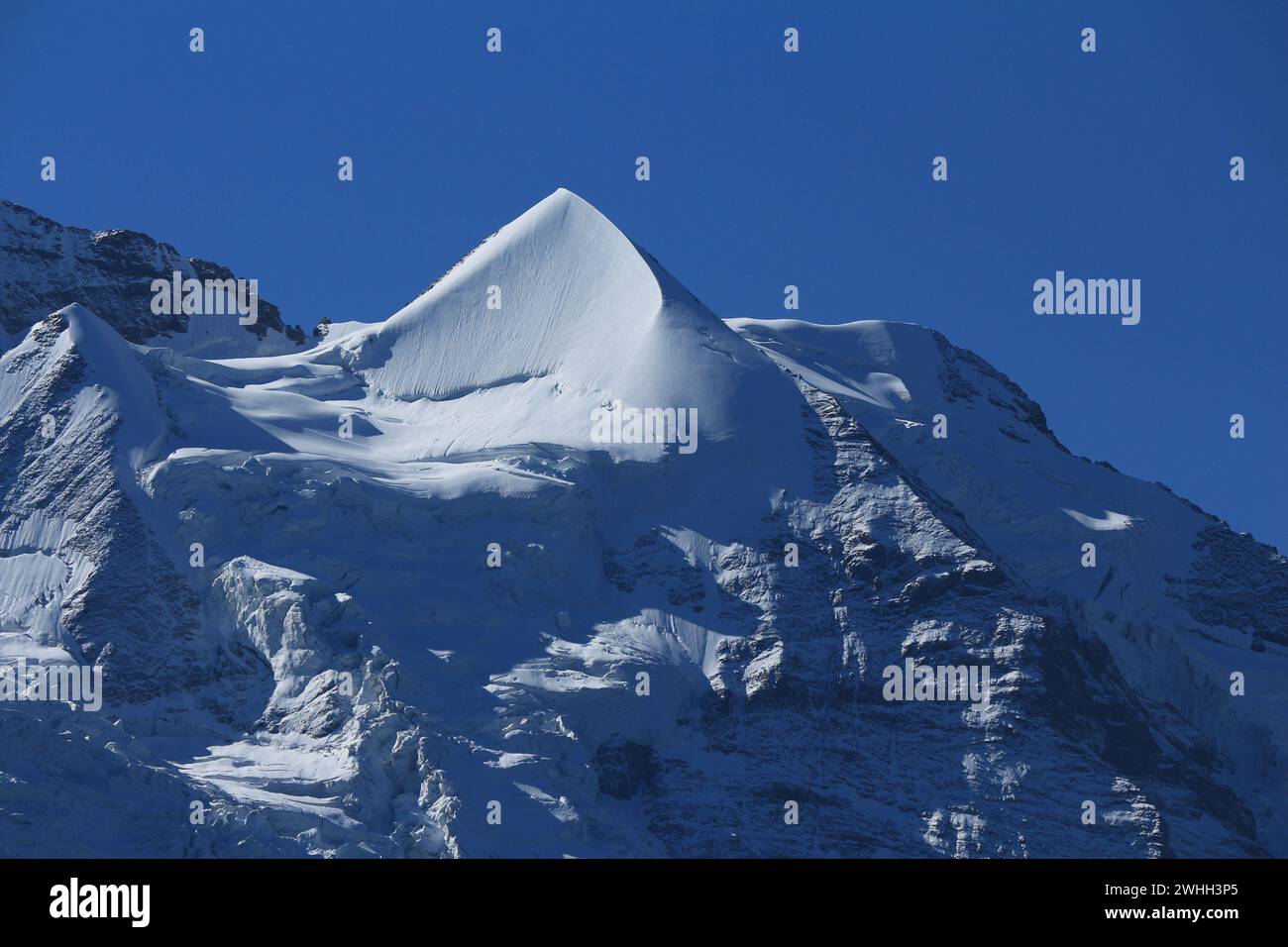 Silberhorn hi-res stock photography and images - Alamy