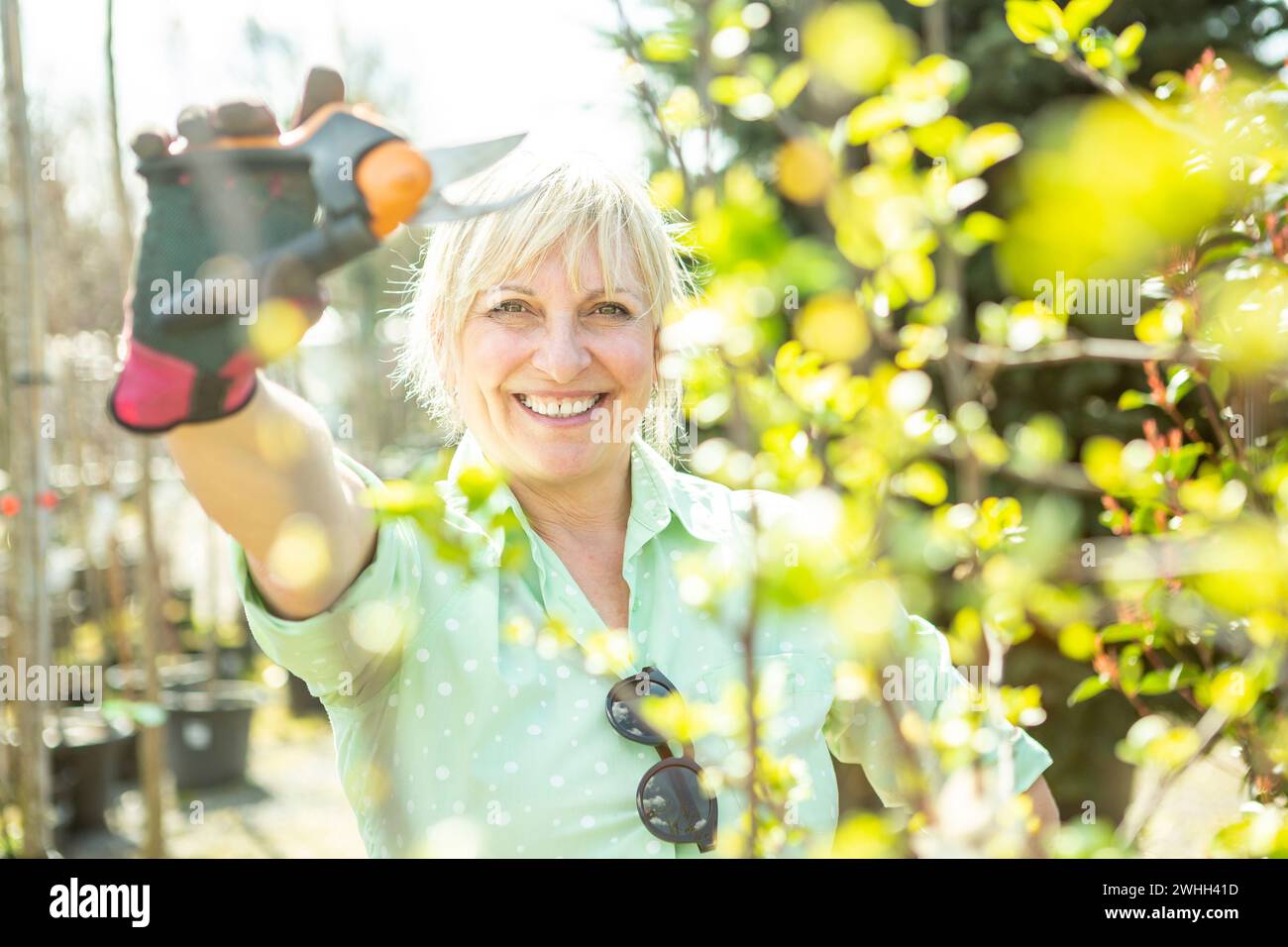 Mature gardener growing tree hi-res stock photography and images - Alamy