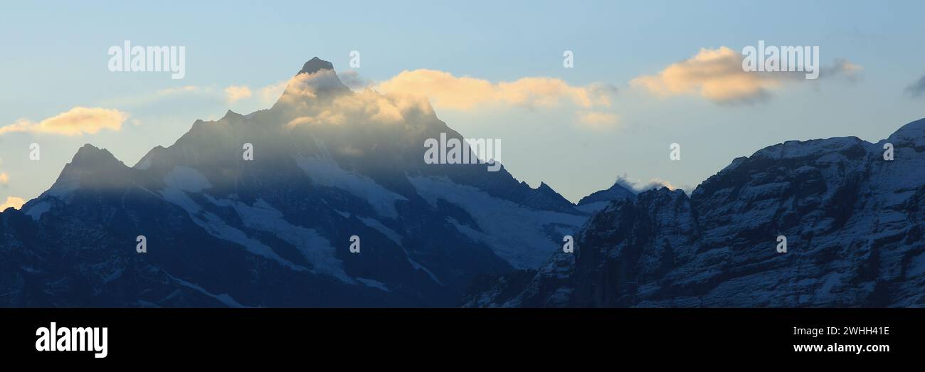 Mount Schreckhorn at sunset, Grindelwald Stock Photo - Alamy