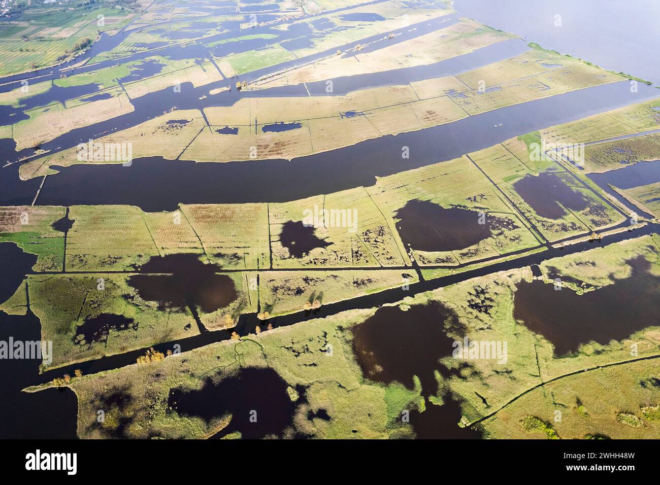 Aerial view of the marshy area of Lake Massaciuccoli Stock Photo - Alamy
