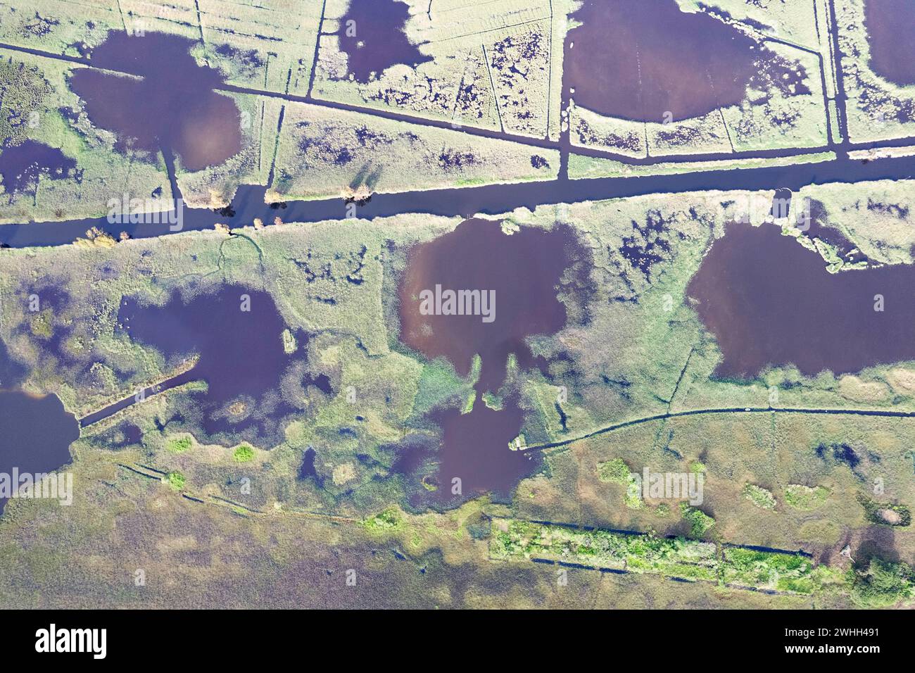 Aerial view of the marshy area of Lake Massaciuccoli Stock Photo - Alamy