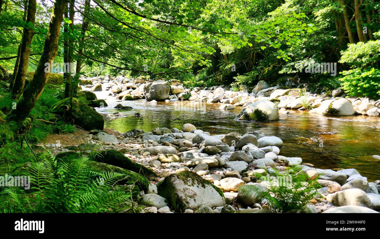 In the romantic Murg valley Stock Photo - Alamy