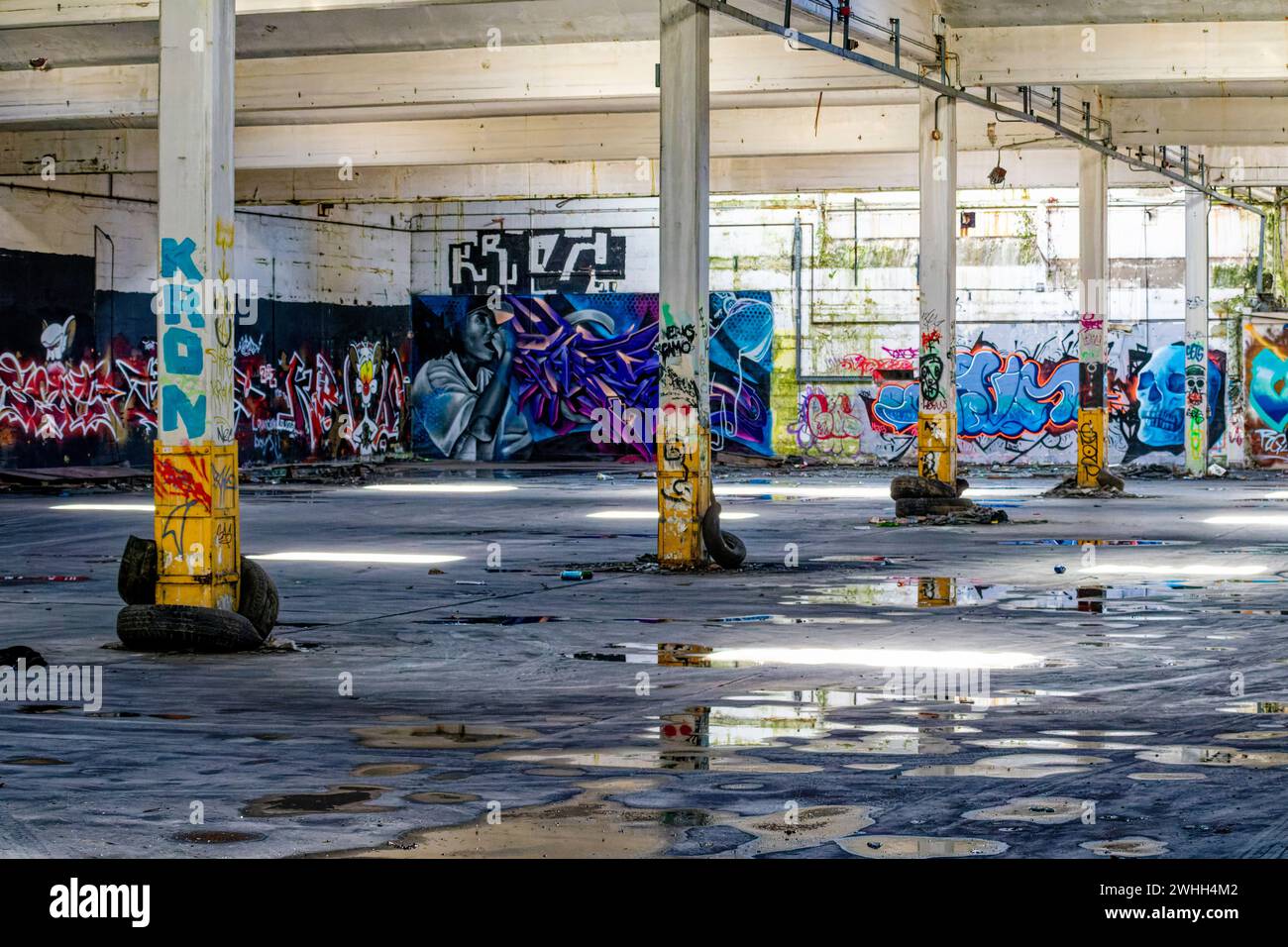 Interior, Outbuilding Detail with Graffiti at the Derelict Torridge ...