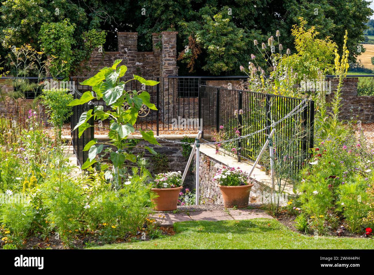 Tranquil Garden Scene in Great Torrington Castle Community Gardens with ...