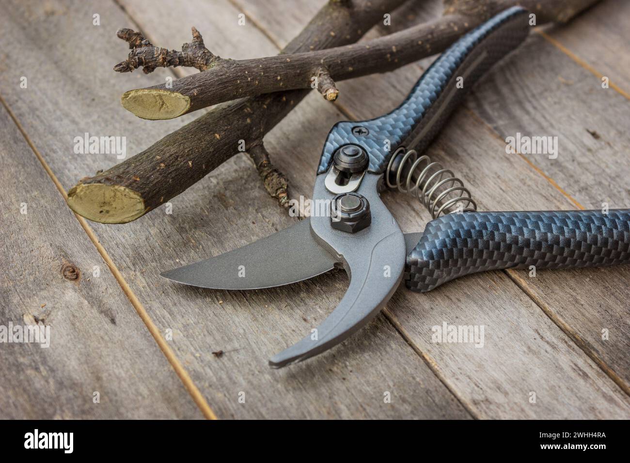 Pruner set hi-res stock photography and images - Alamy