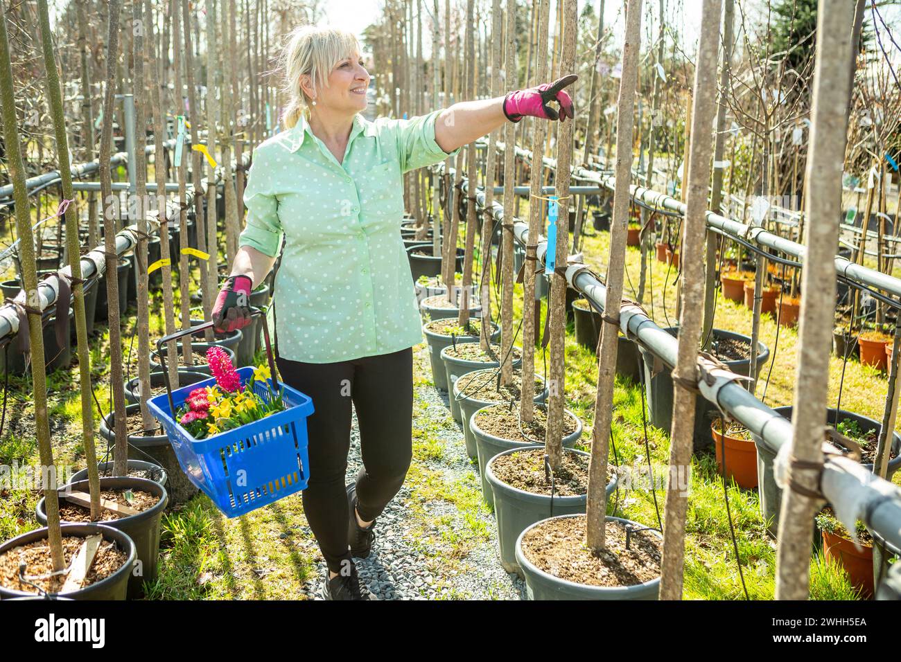 Nursery plant farm hi-res stock photography and images - Alamy