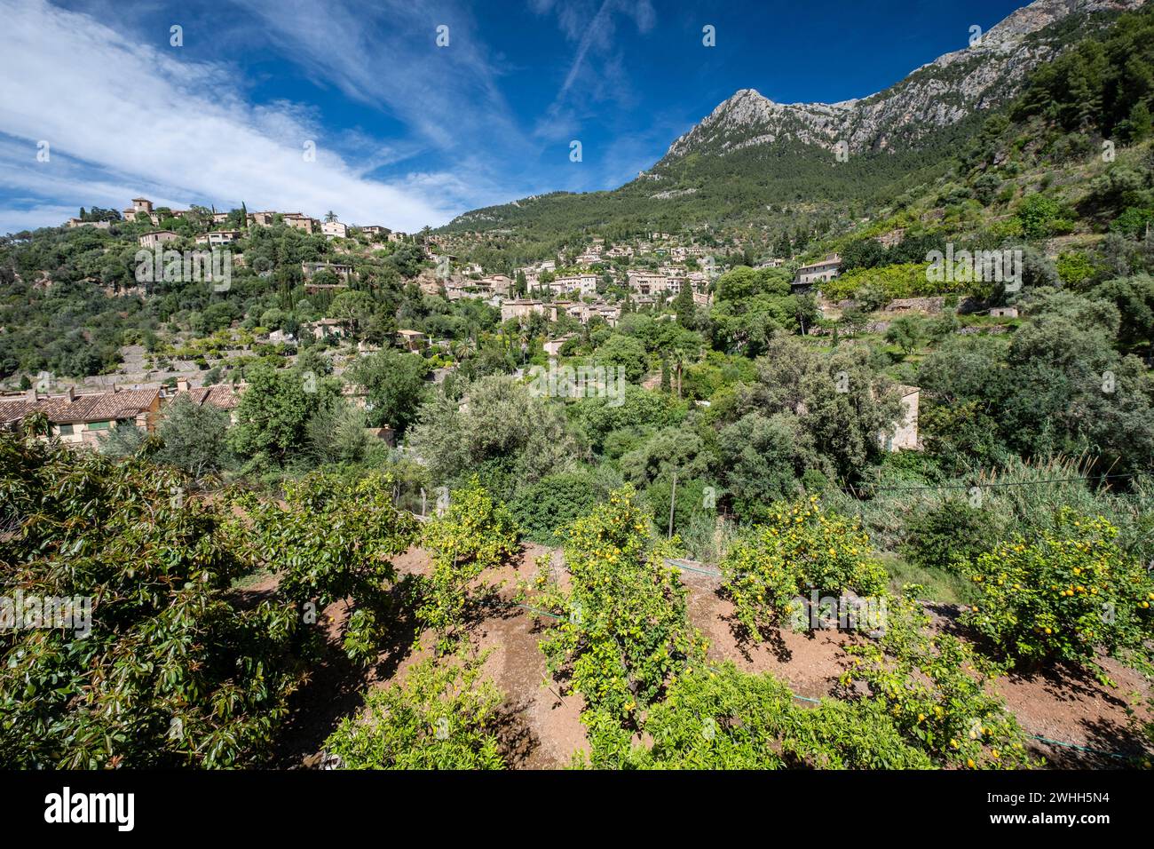 Deya hi-res stock photography and images - Alamy
