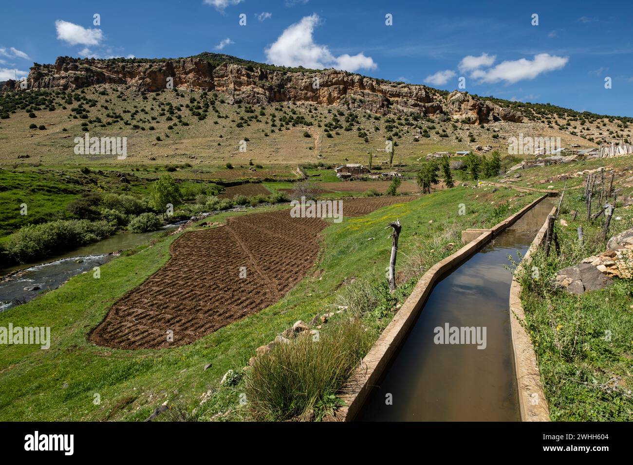 Crop ecosystem hi-res stock photography and images - Alamy