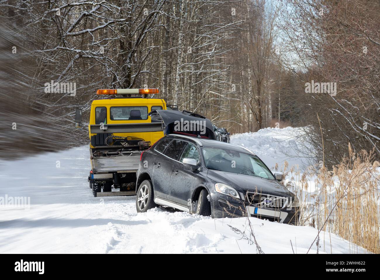 Winter accident of a black car that slid off the road and killed the ...