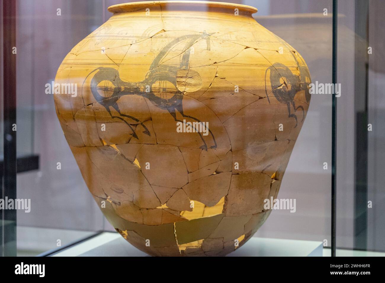 Medios de almacenamiento hi-res stock photography and images - Alamy