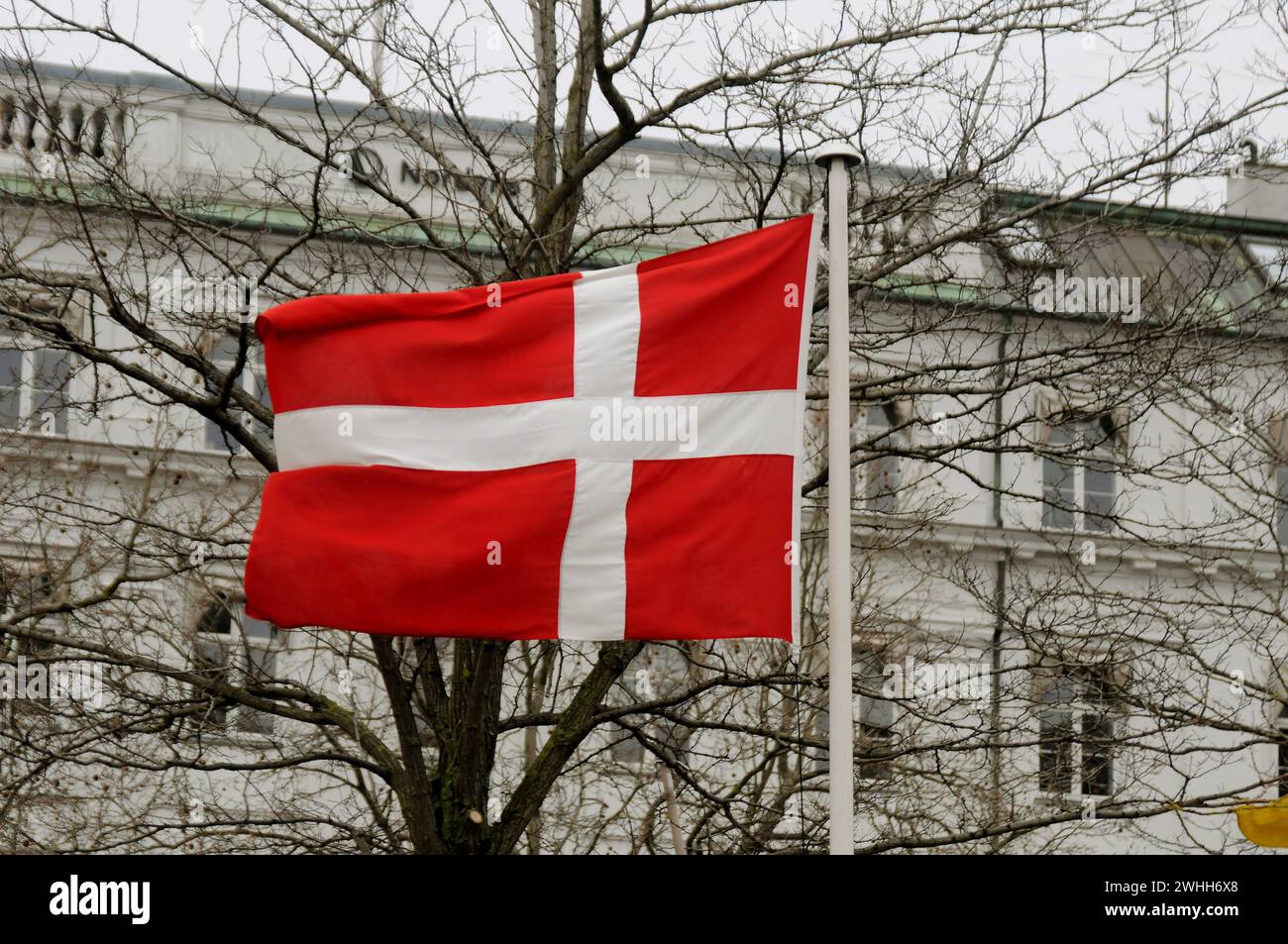 Copenhagen, Denmark /10 February 2024/. Danish flag red and shite with ...