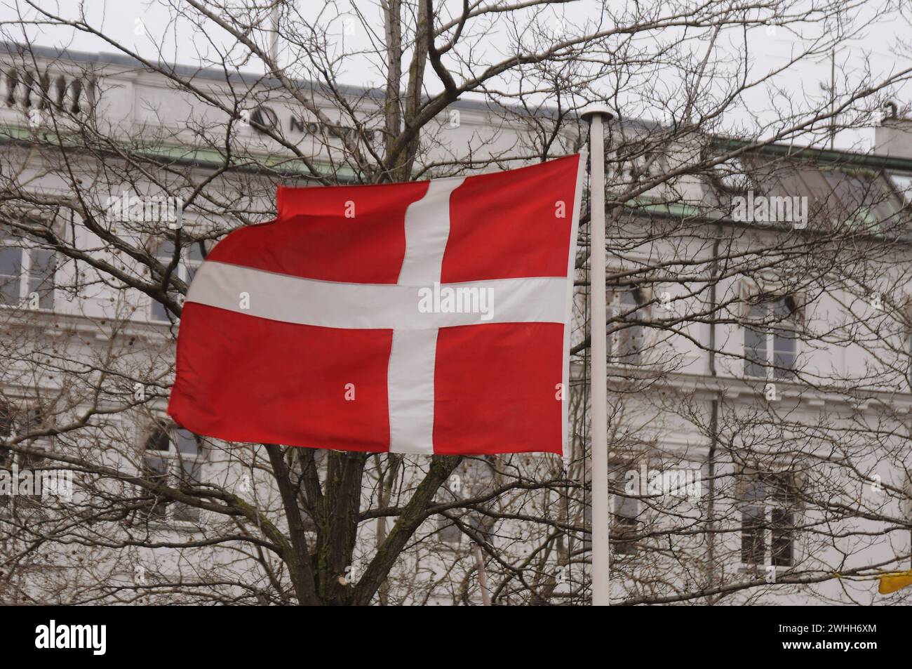Copenhagen, Denmark /10 February 2024/. Danish flag red and shite with ...