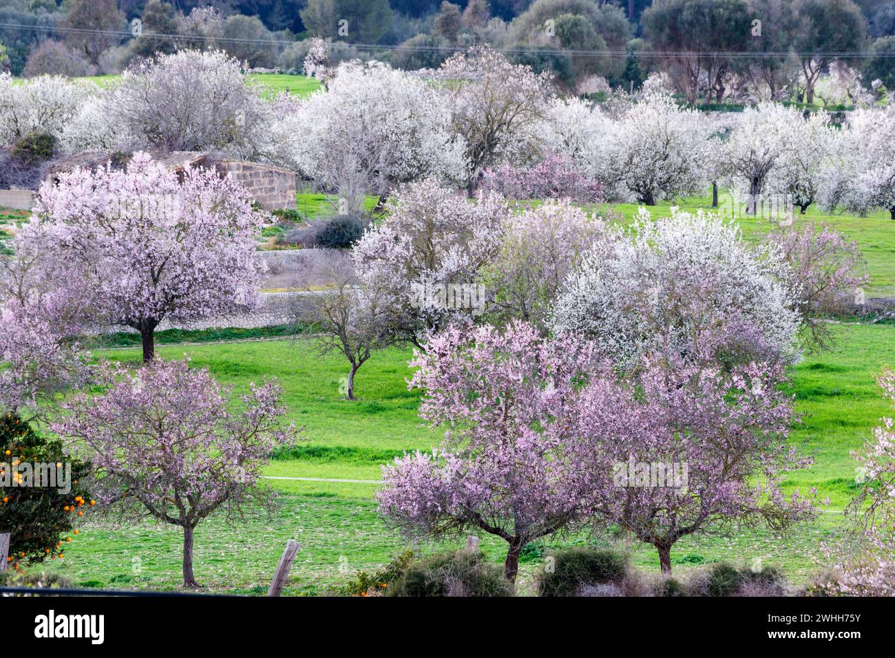Ciclo de campo hi-res stock photography and images - Alamy