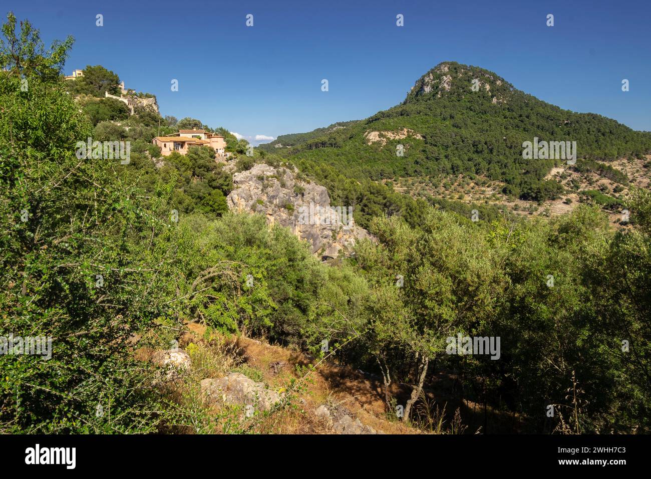 Galilea hi-res stock photography and images - Alamy