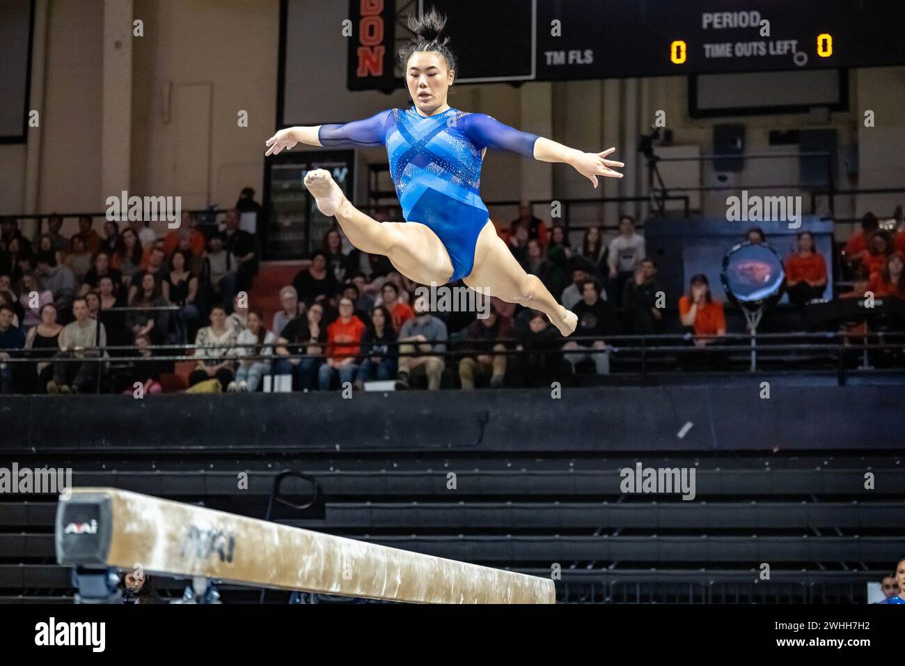 Ucla gymnastics hi-res stock photography and images - Alamy