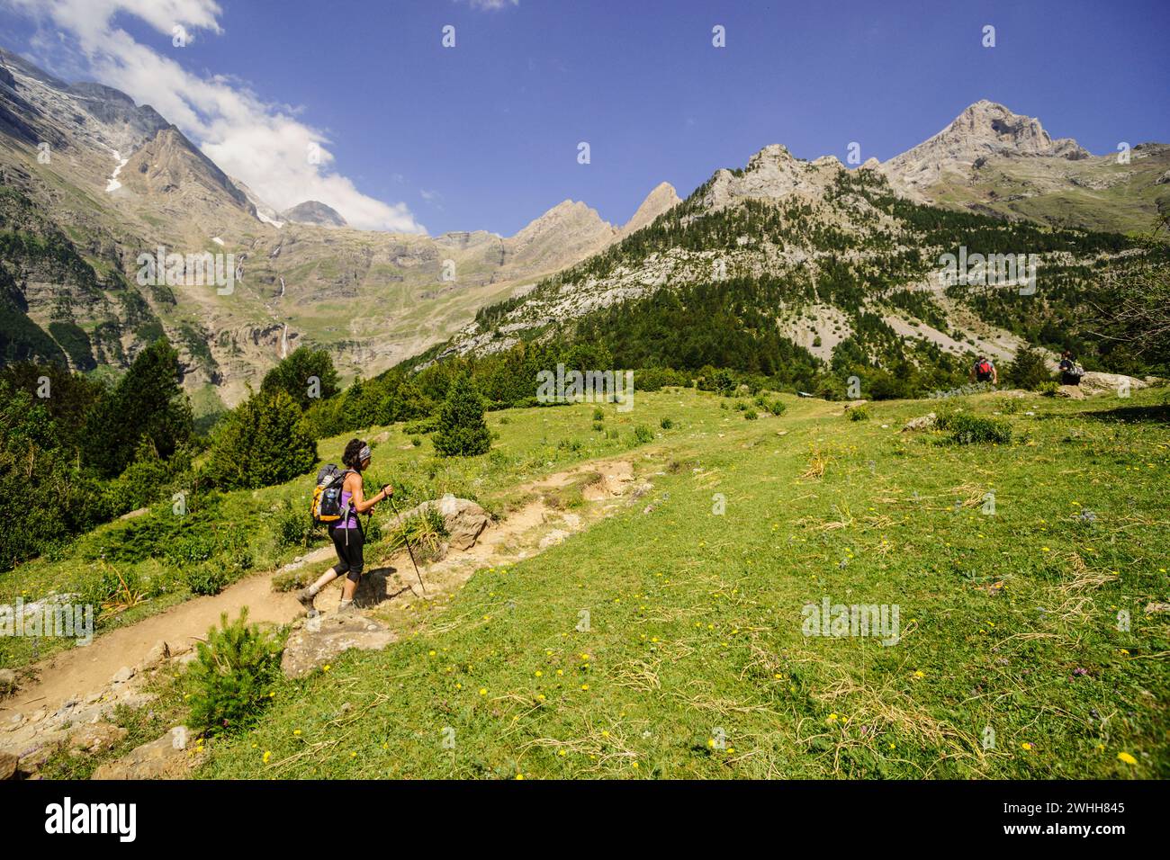 Paisajes de vegetación hi-res stock photography and images - Alamy