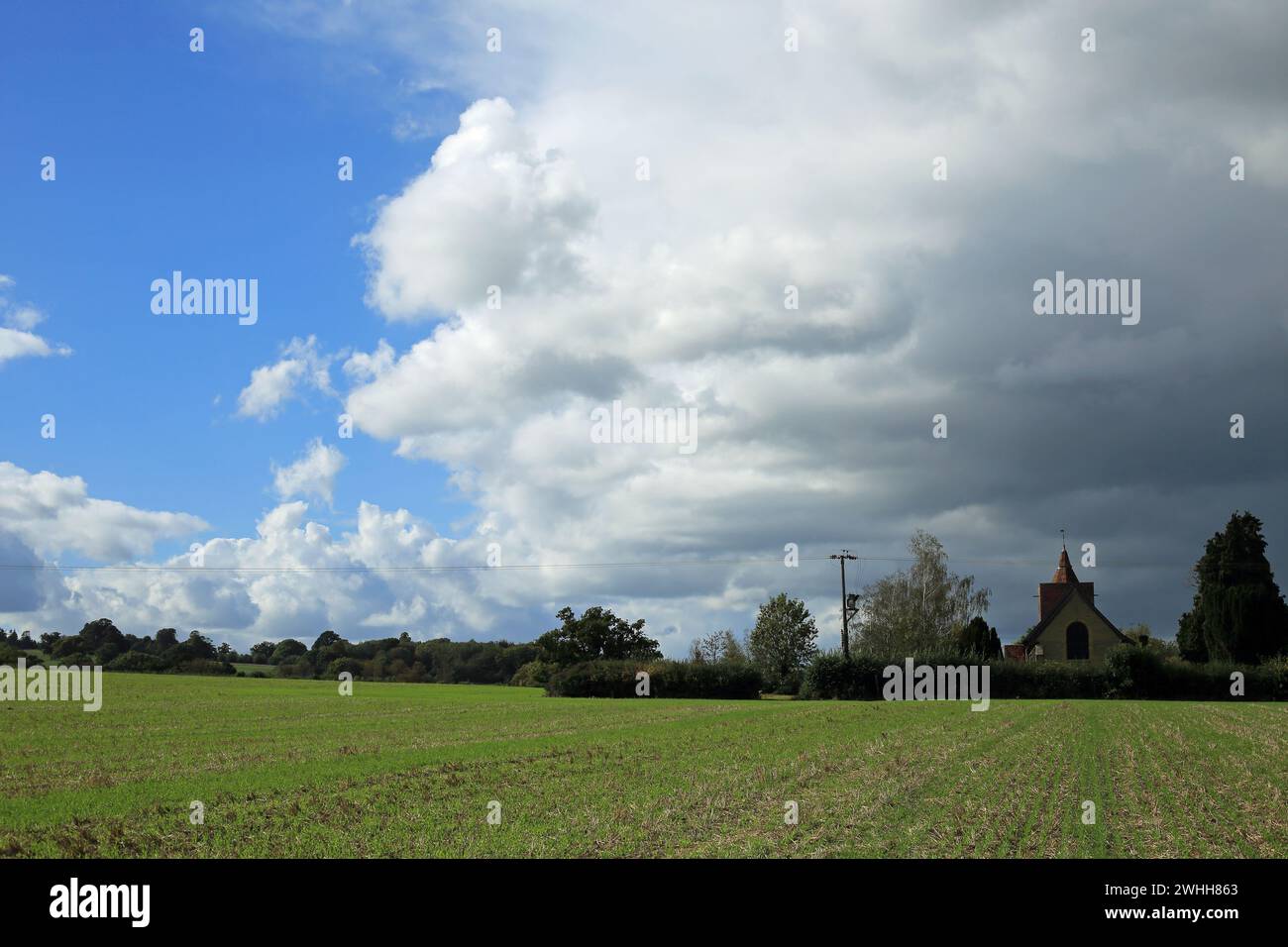 View across fields to All Saints Church, Tudeley, Tonbridge, Kent ...