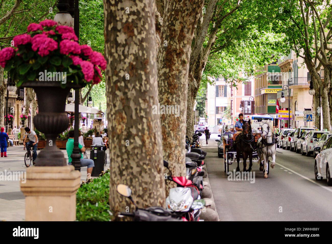 Cultura historia hi-res stock photography and images - Alamy